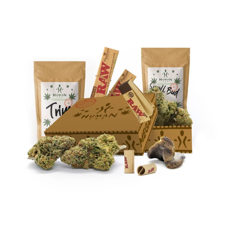 Tout sur la Feuille de Tabac à Fumer : Avantages et Utilisation | Human-CBD