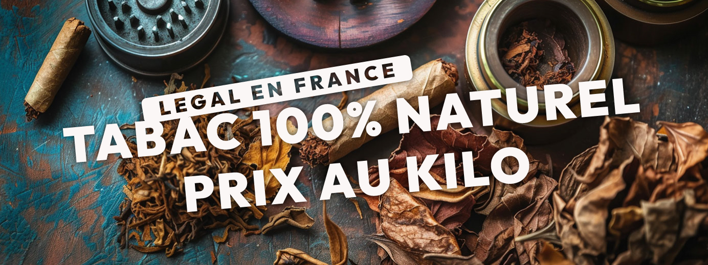 Découvrez la Feuille de Tabac à Chiquer : Usage et Conseils | Human-CBD