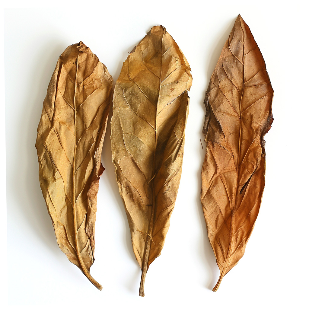 Mélanges de Tabac Léger et Équilibré