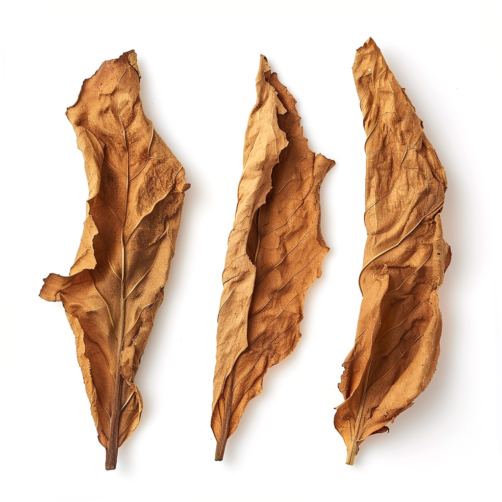 Virginia Italia - Feuille de Tabac à Rouler | N°1 en France